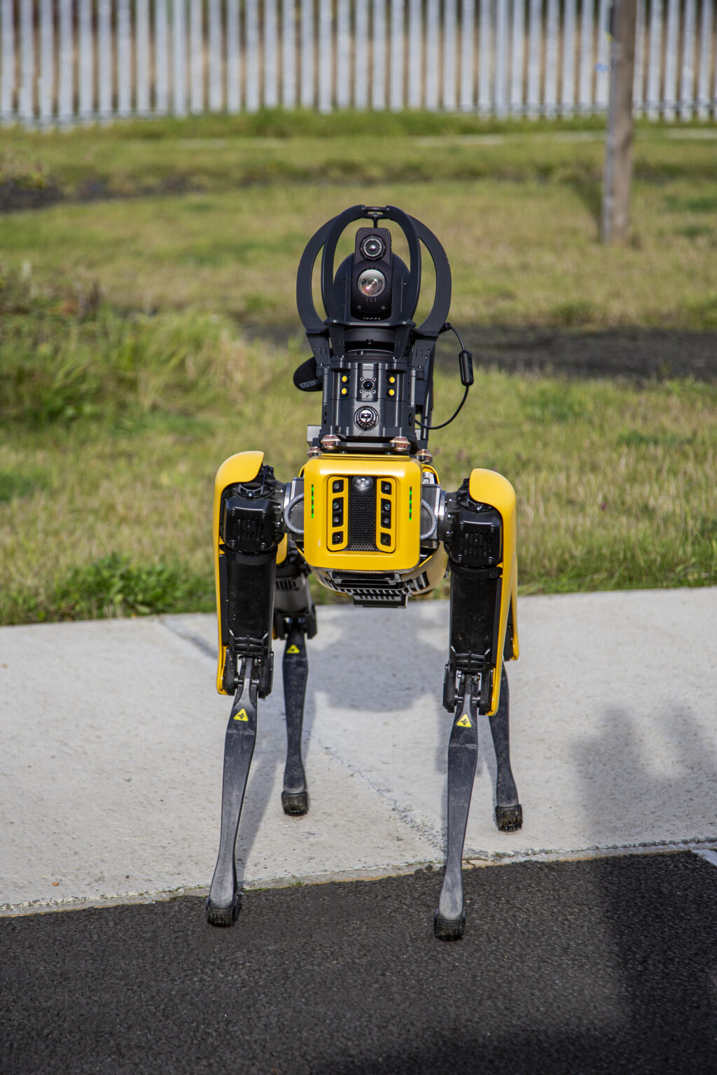 Spot the ‘robot dog’ let off leash to collect data in agricultural ...